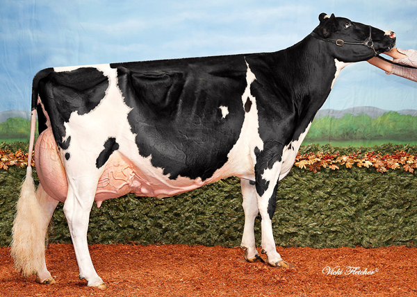 EBYHOLME GOLDWYN MARCIA now EX-96-2E-CAN