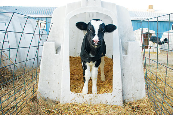 0313pd_stress_1_full[1]