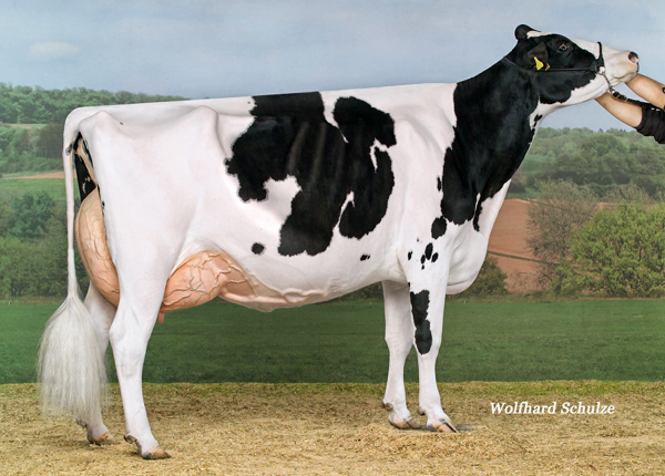 Decrausaz Iron O'KALIBRA