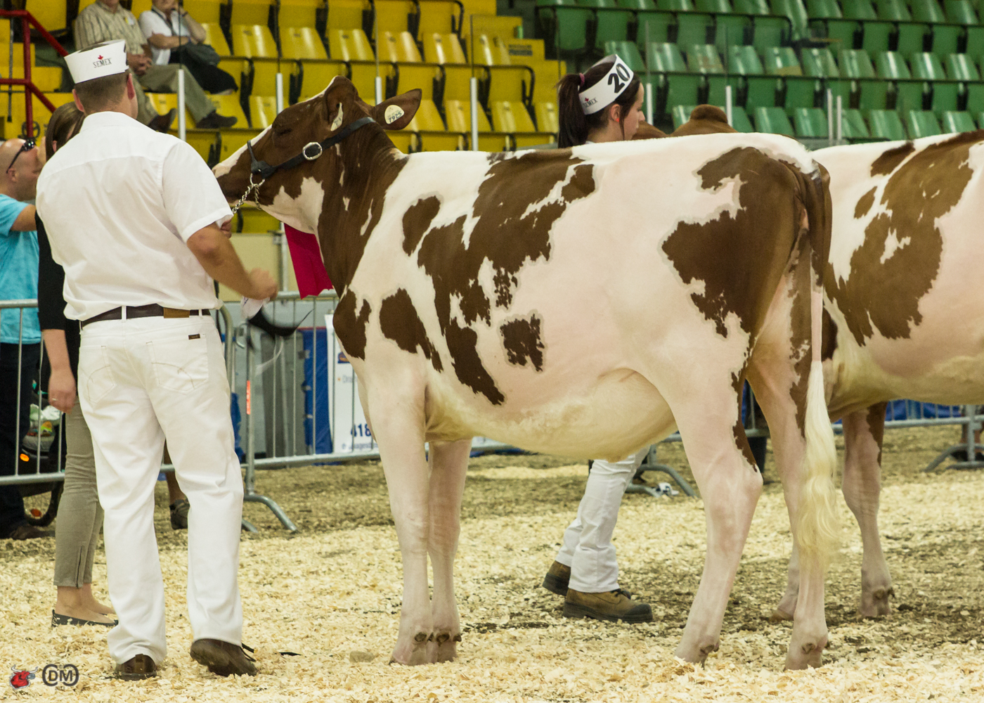 Ferme Rolandale Enr.