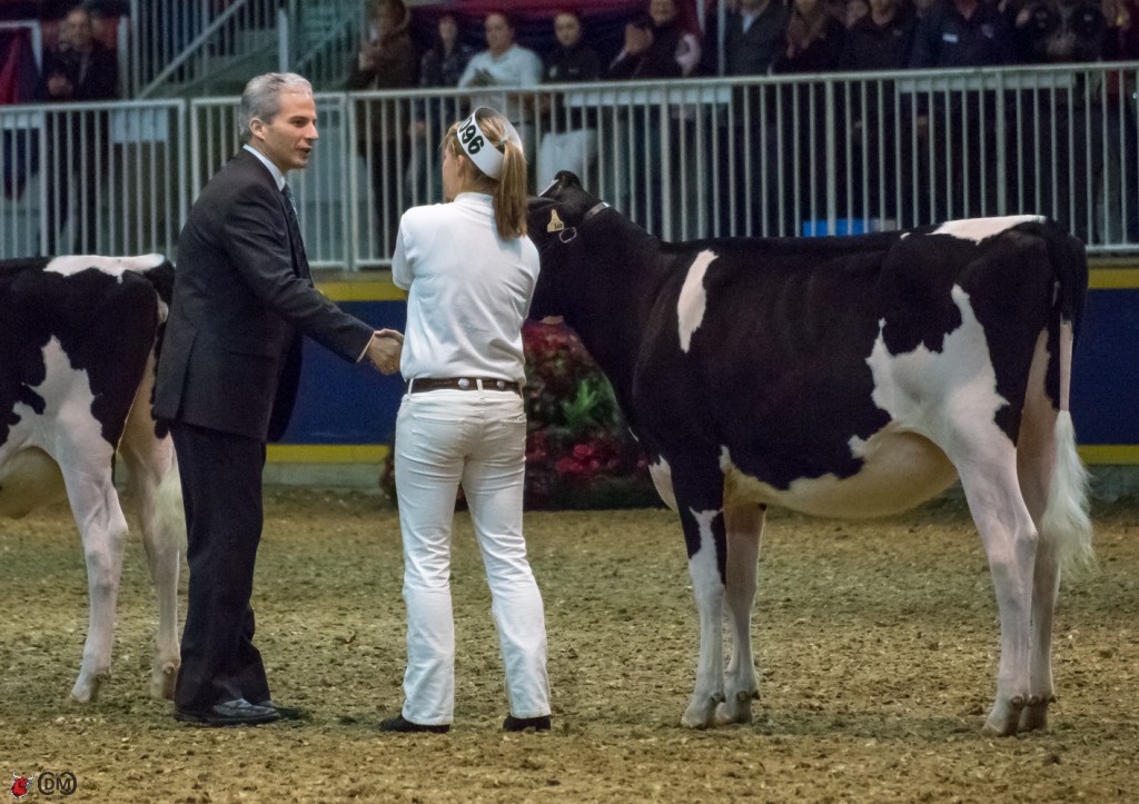 Reserve Grand Champion Showman - Reserve Champion Showman Taryn ...