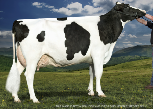 January, 2014 | The Bullvine