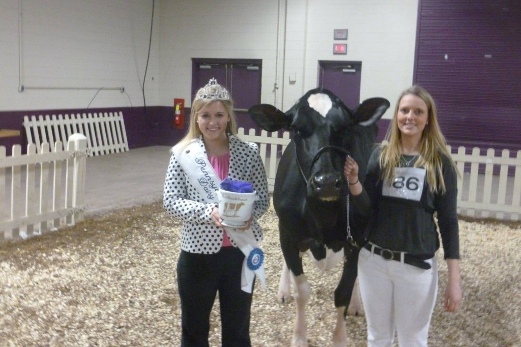 Best Bred & Owned - Open Show Lu-Anne Antisdel, PA Dairy Princess ...