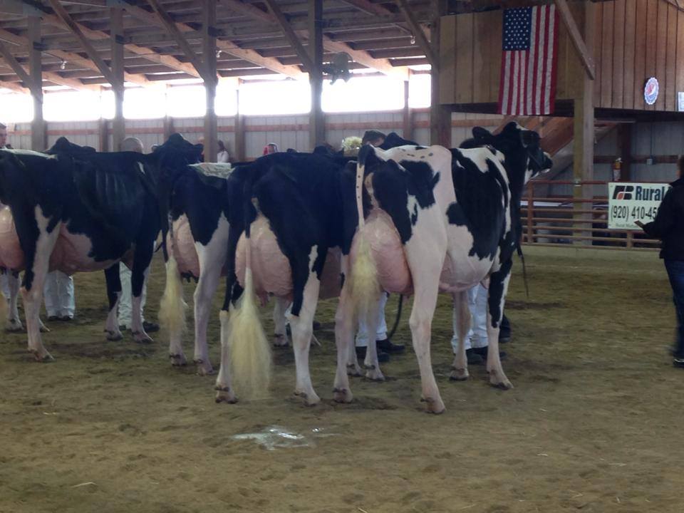 10155980_10152336057905791_4962504149127949190_n[1]