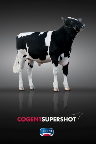 62568-scaled-900x500[1]