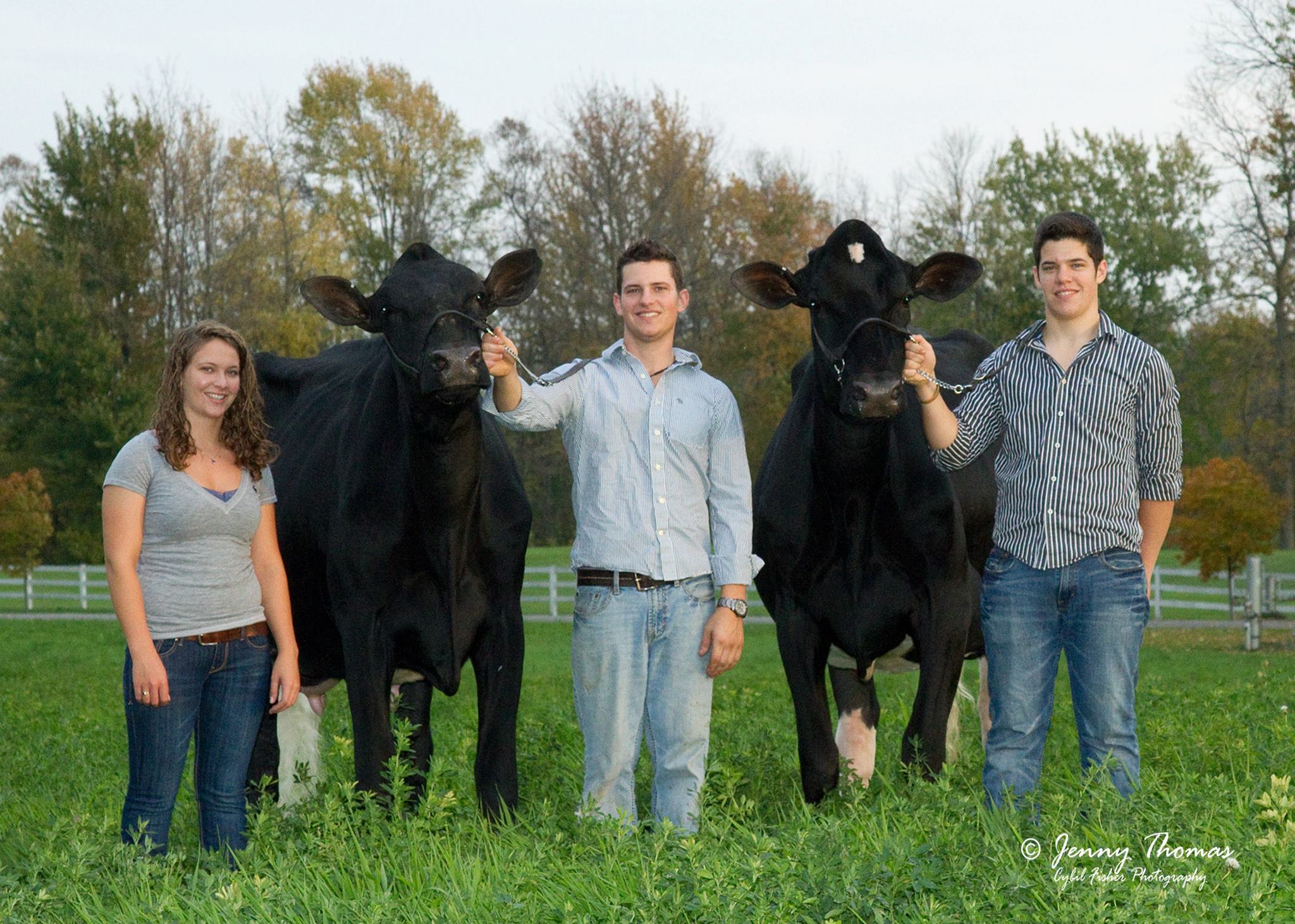 Reyncrest Dairy