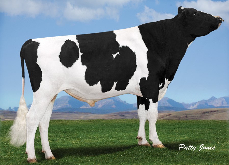 250HO914 Gillette WINDHAMMER-ETS was raised to Excellent (97) by ...