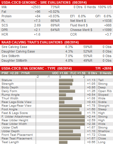 COGENT SUPERSHOT - aug 2014