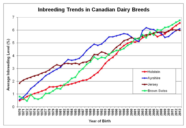 inbreeding-in-cdn-dairy[1]