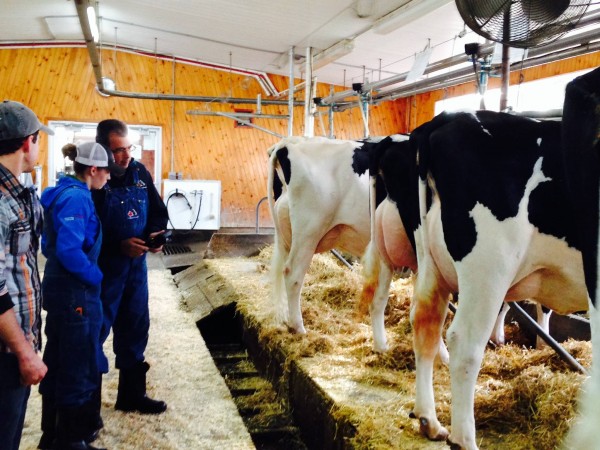 10694494_703176889774536_223868616534166427_o[1]