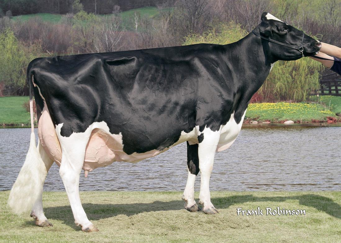 “Never let genetics take a back seat”