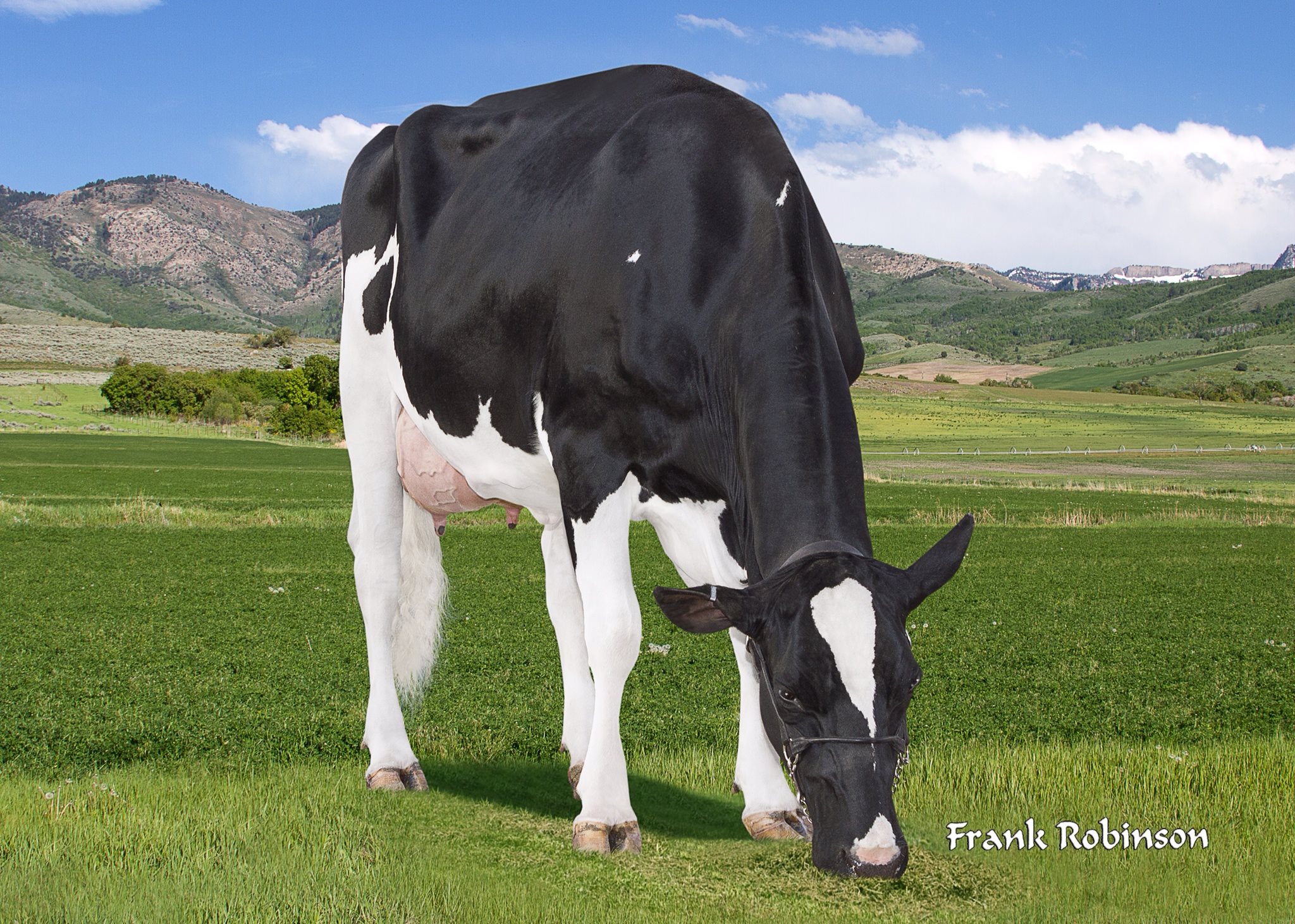 It is clear to see why Greg was selected as the 2014 Distinguished ...