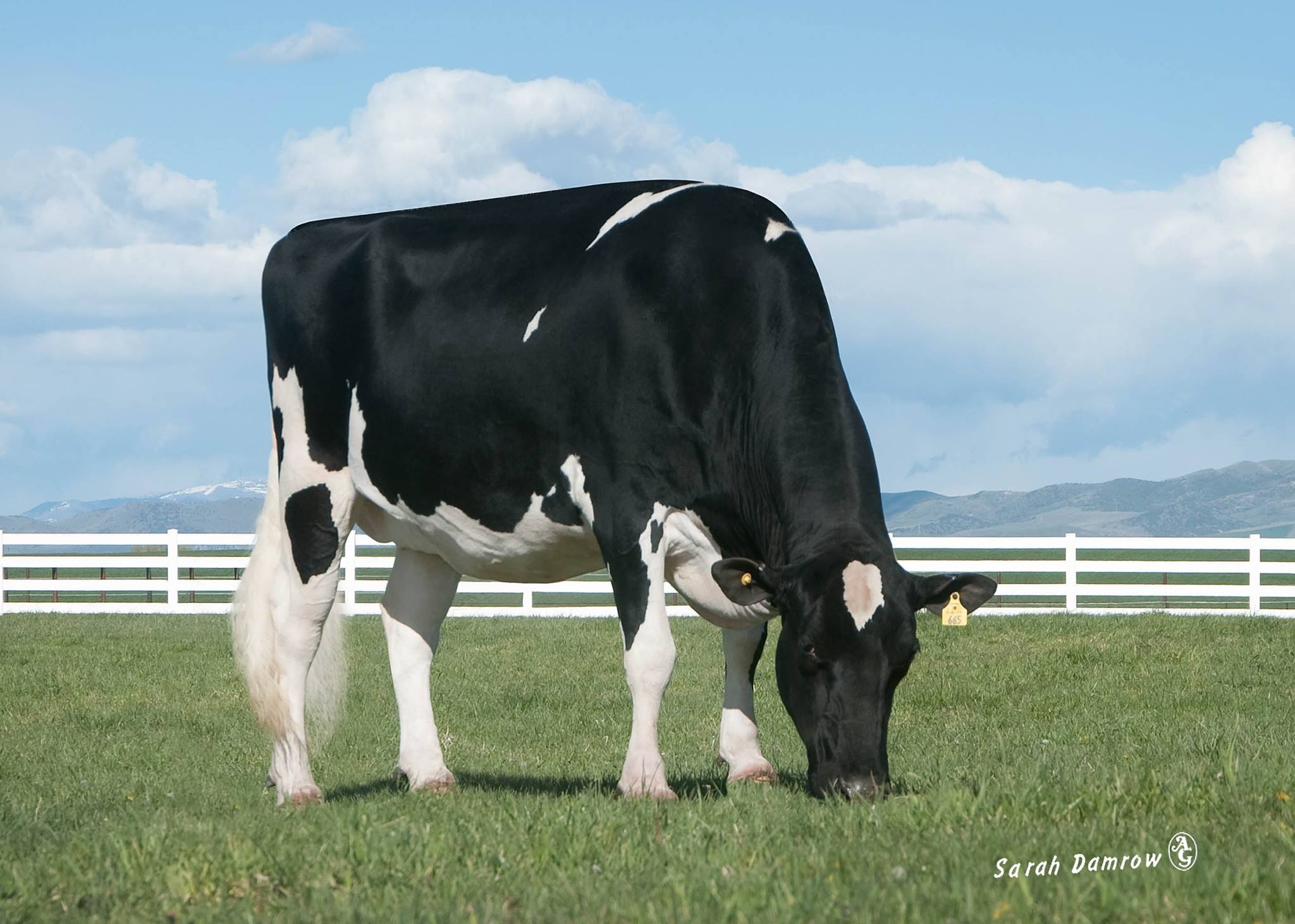 Seagull Bay Works to High Genomic Standards