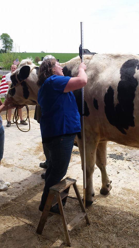 1798582_10154633157010018_4255935579730747829_n[1]