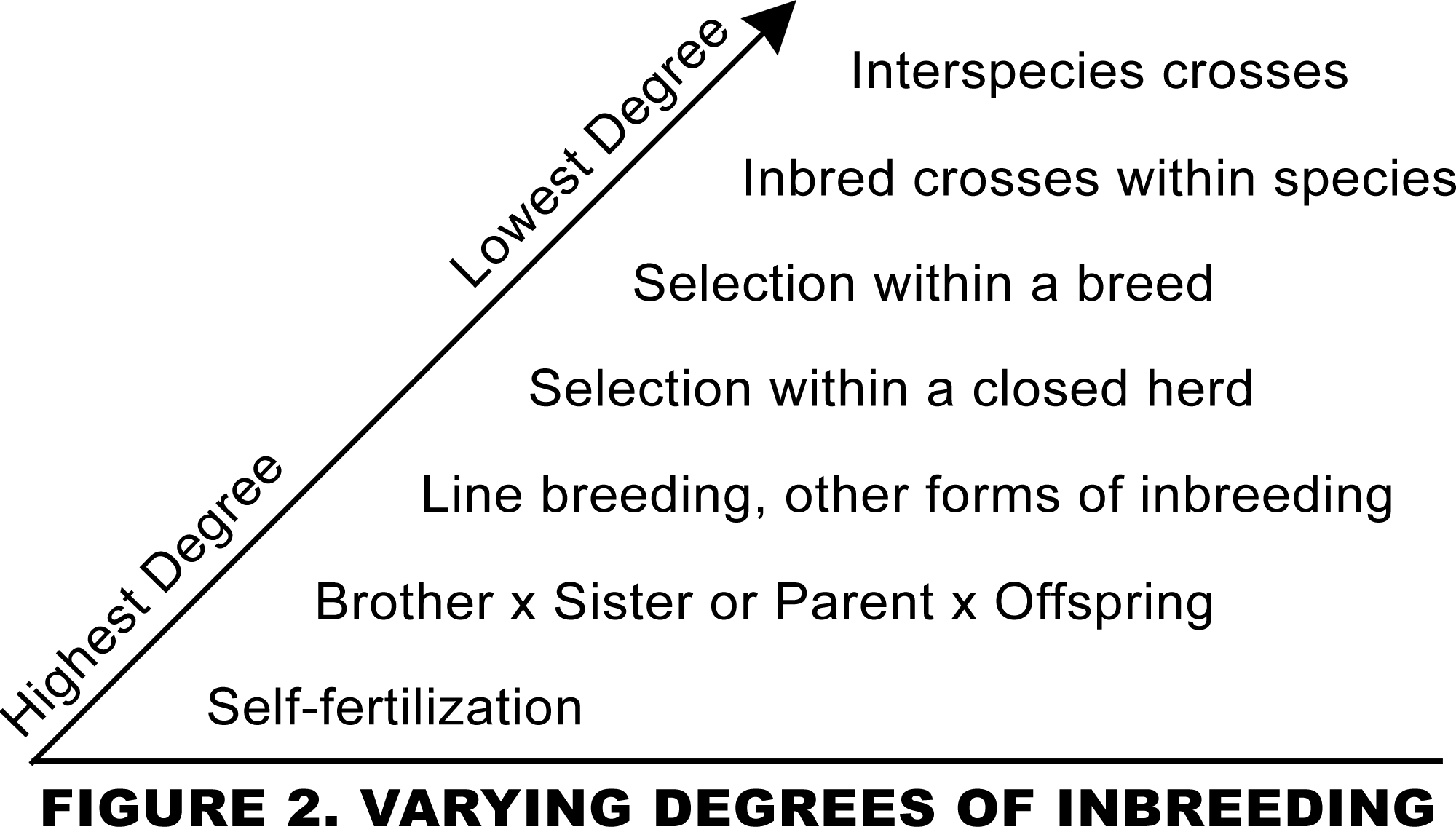 Leave a Reply Cancel reply