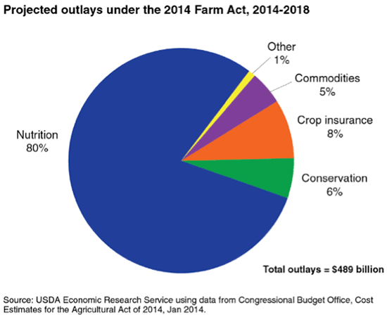 FarmAct-Outlays[1]