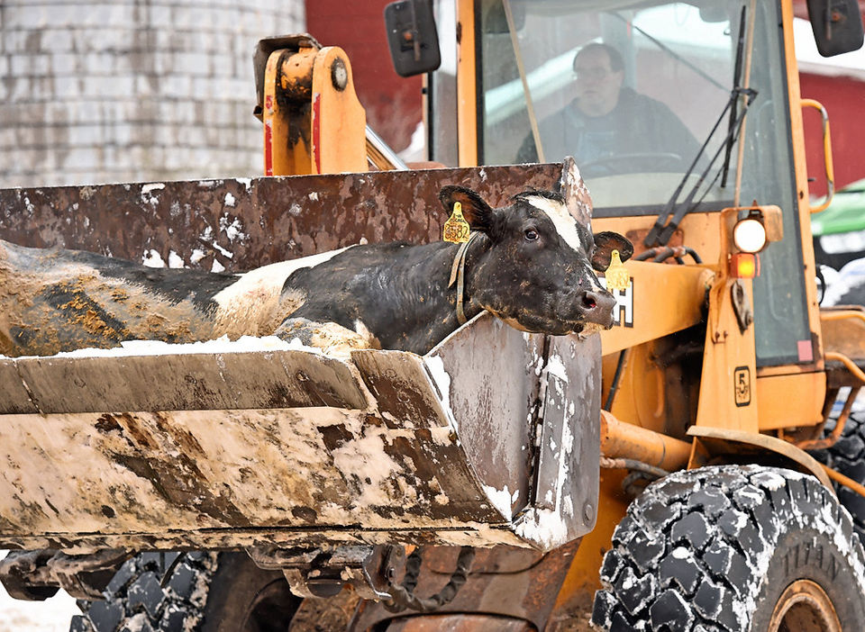 Eight fire departments from three counties arrived at his dairy farm ...