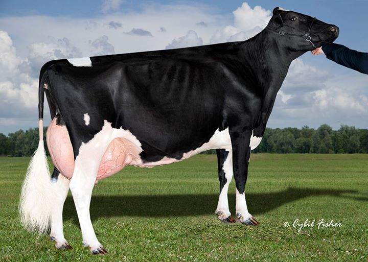 Monday , May 18 th , 2015