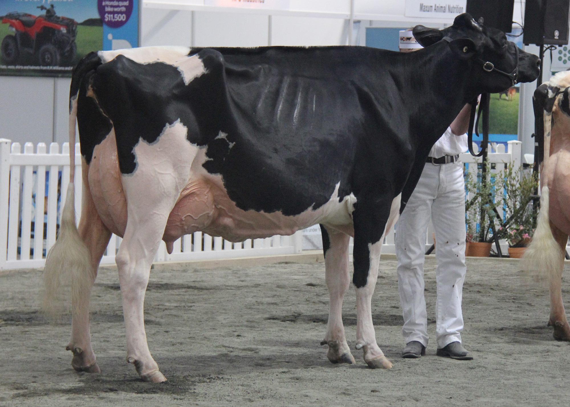 “And we were really happy to be Reserve and Honourable Mention to ...