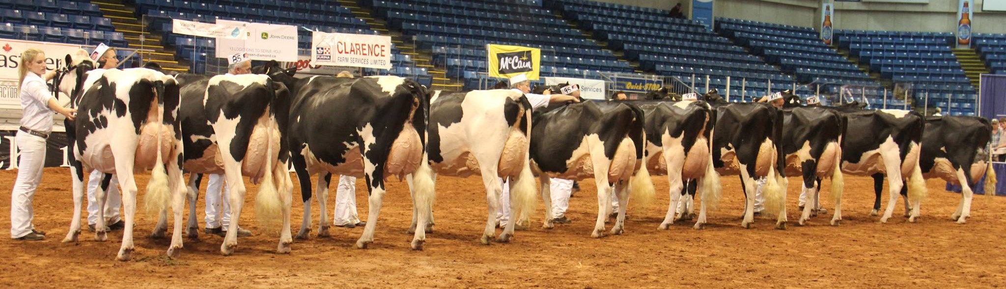 Grand Champion