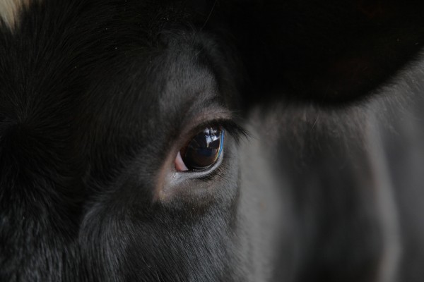 Thursday , September 24 th , 2015