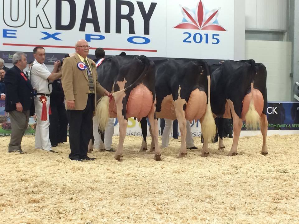 Owned and bred by Francis Wright, Kendal, son David and his partner ...
