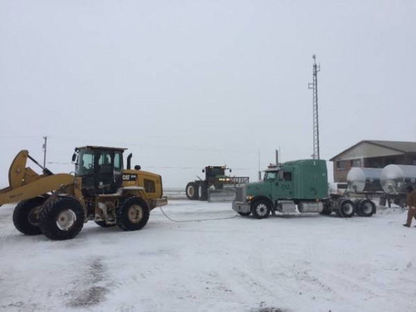 12037949_431295150412267_2831090061740796305_n[1]