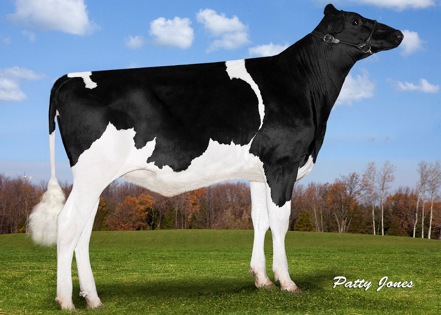 Leave a Reply Cancel reply