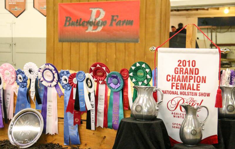 Butlerview Farm Complete Dispersal 2016 – End of an era