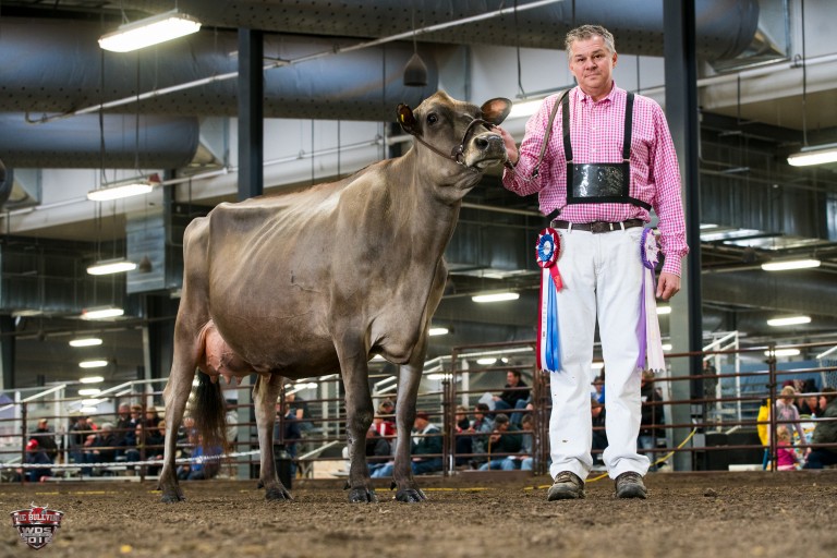 MilkSource Genetics’ Tequila & Madison Shine at 2016 Midwest Spring ...