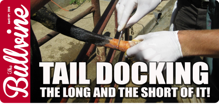 Slide 5