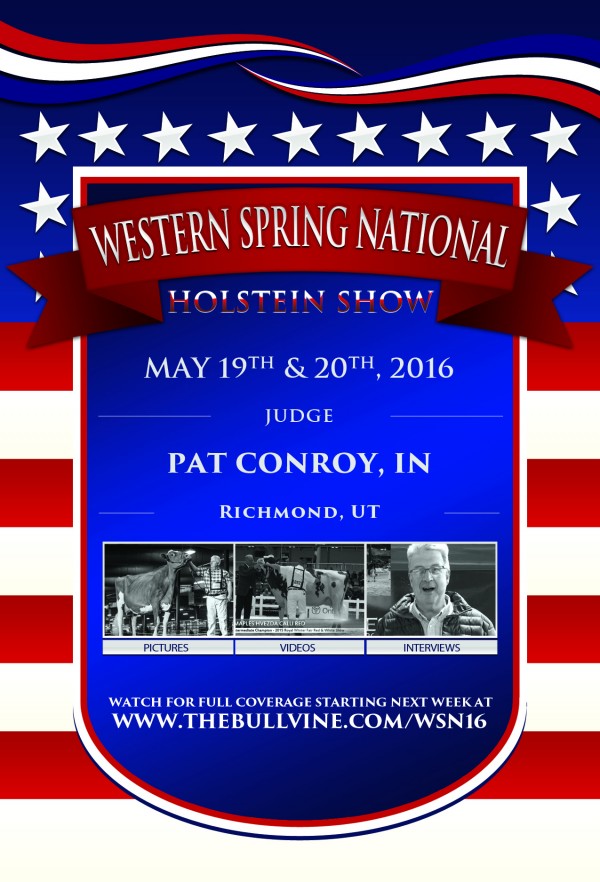 Western Spring National Holstein Show 2016 | The Bullvine