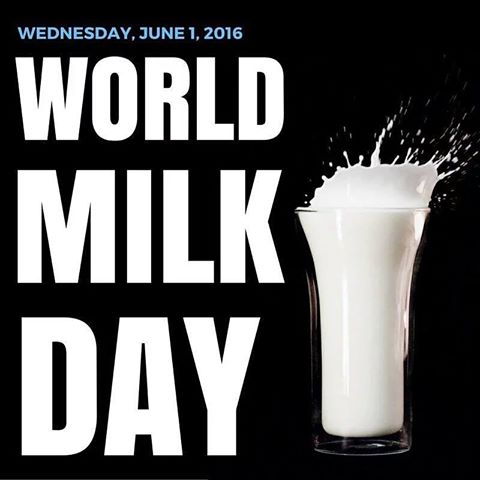 World Milk Day takes place today (Wednesday 1 June).