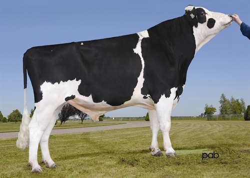 Monument_Impression[1]