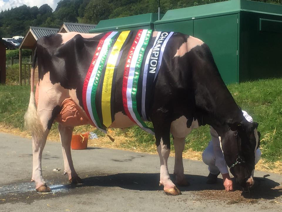 Thursday , July 21 st , 2016