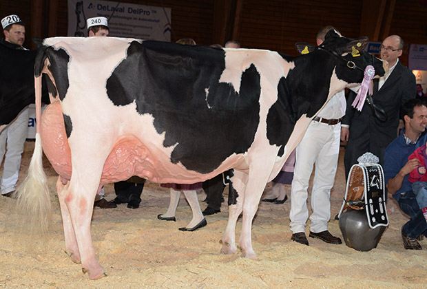 Thursday , July 28 th , 2016