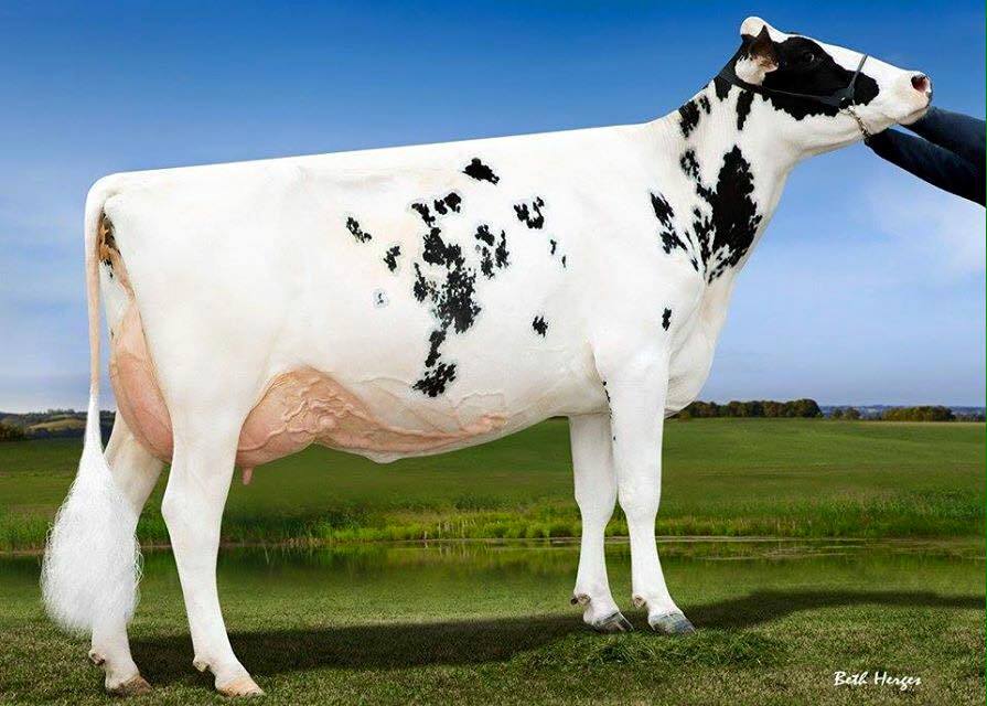 Tuesday , July 26 th , 2016