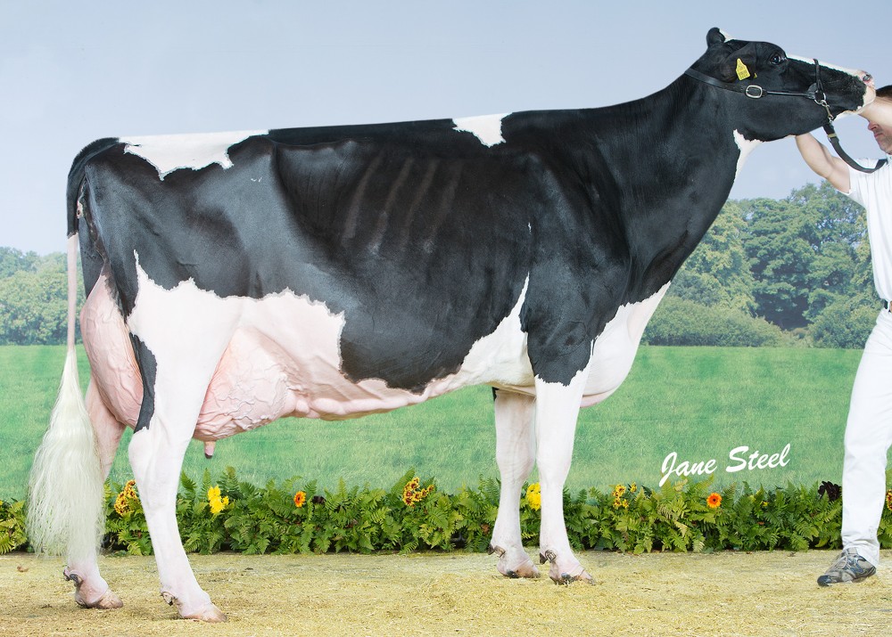 Friday , August 26 th , 2016