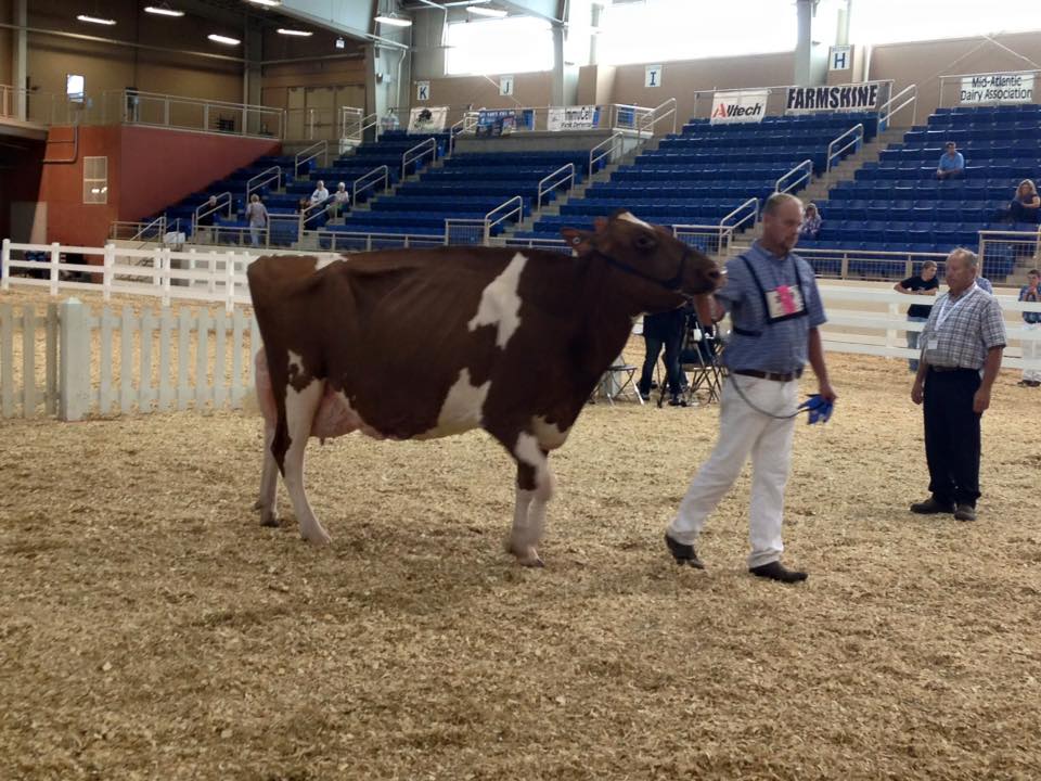 5 Years Old – Meadow Green Abso Fanny–Red–ET, Frank Borba, M Berry and ...