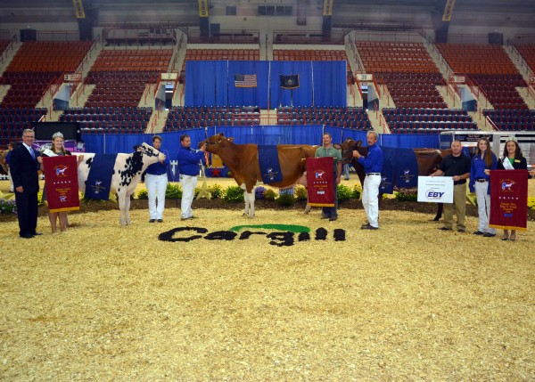 Supreme Champion Heifer, Supreme Champion Cow, and Best Bred and Owned ...