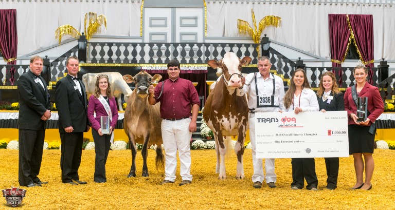 Snapple gewinnt den International Futurity Champion Banner