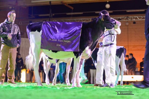 15109444_1888325381400796_689428479667641603_n1