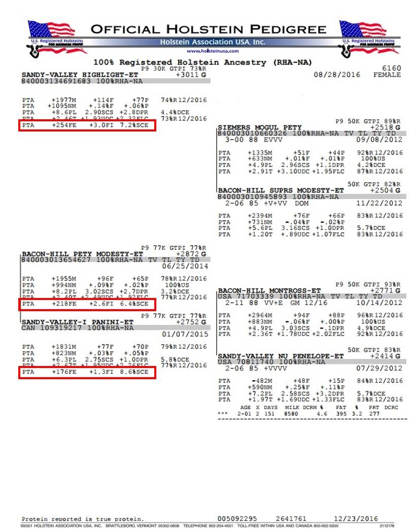 Genetic Evaluation System :: The Bullvine - The Dairy Information You ...