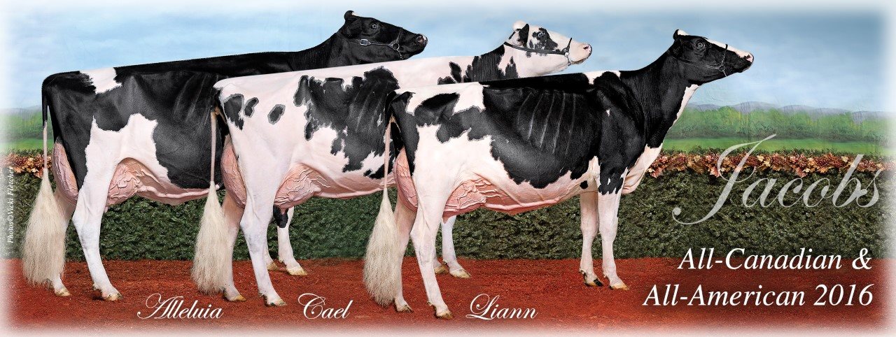 Friday , March 17 th , 2017