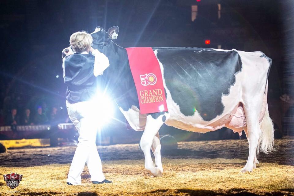 Leave a Reply Cancel reply