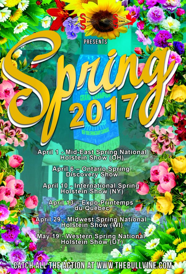 North American Spring Shows 2017 | The Bullvine