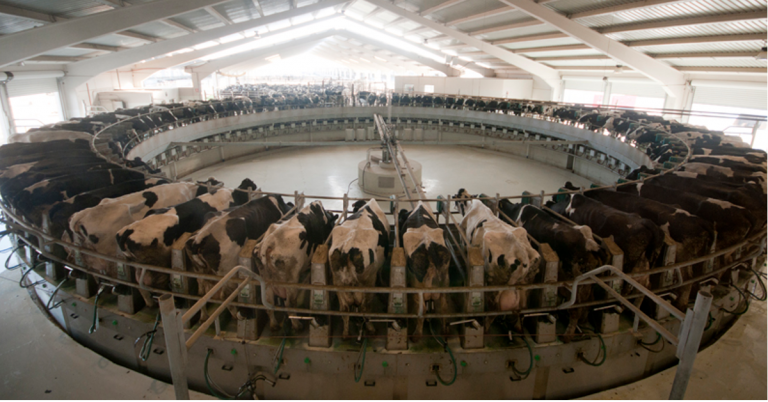 In the region of Zaragoza in Spain, the dairy cooperative Valle de ...