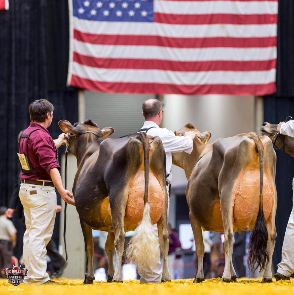 “Emily’s Career Time Frame is Clicking Along