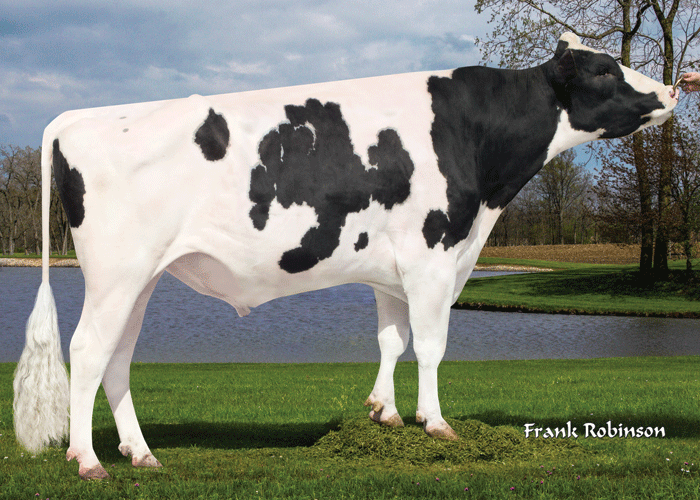 Twelve newly proven graduates, sired by six different sires, joined the ...