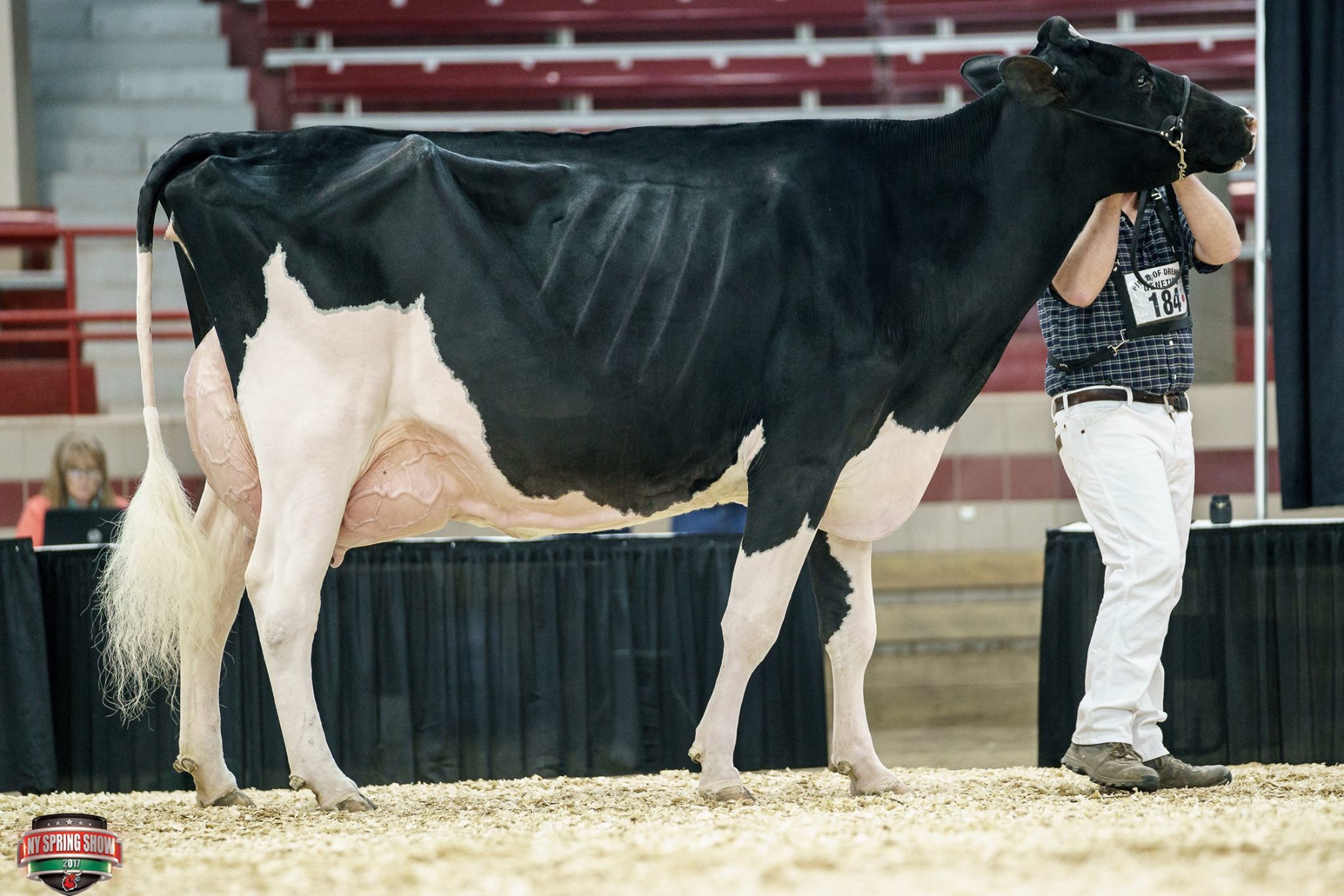 JUDGE: Chris Hill, MD